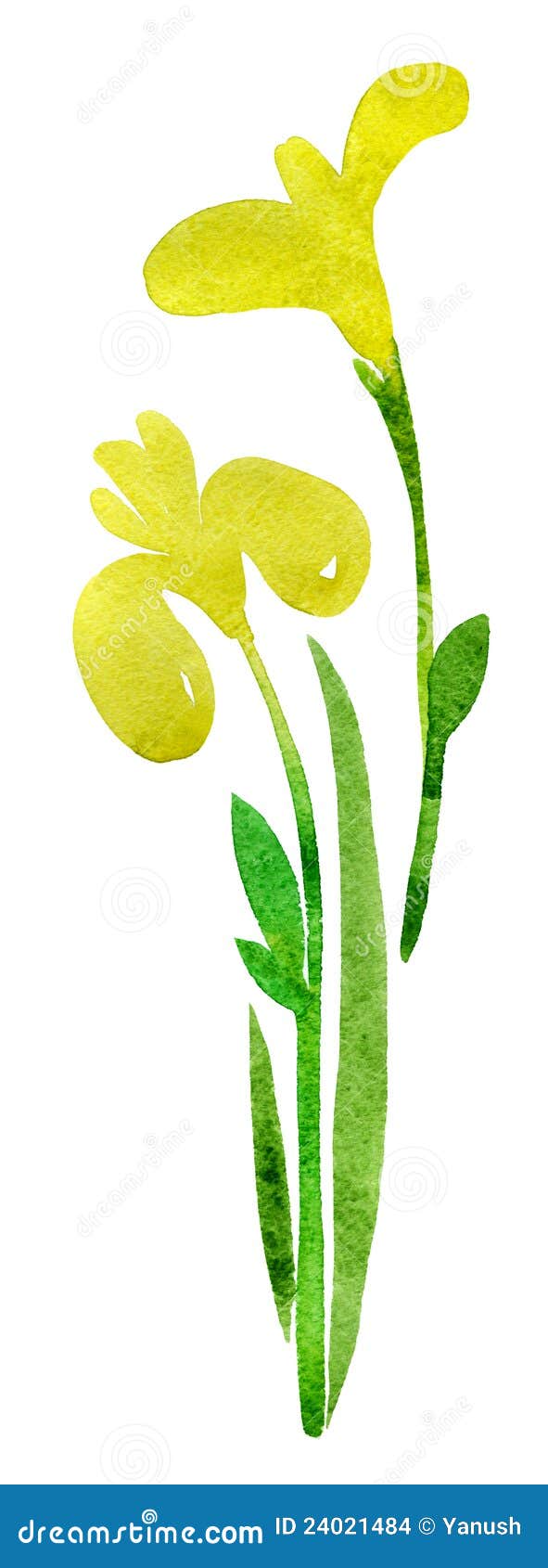 Gele lis stock illustratie. Illustration of bloem, groen - 24021484