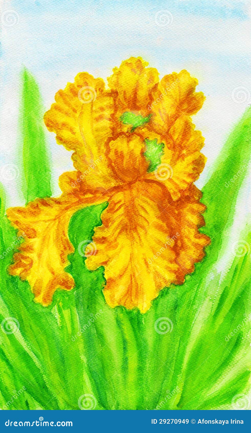 Gele lis, het schilderen stock illustratie. Illustration of artistiek ...