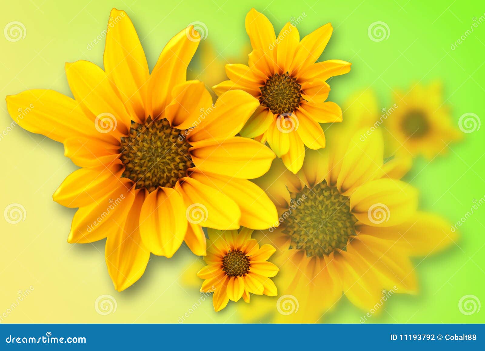 Gele margriet stock foto. Image of scherp, chrysant, seizoengebonden ...