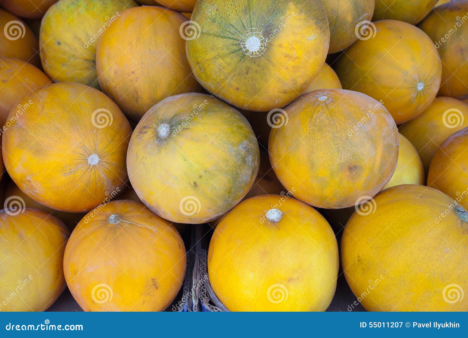 Gele Meloen Natuurlijke Achtergrond Stock Afbeelding - Image of ...
