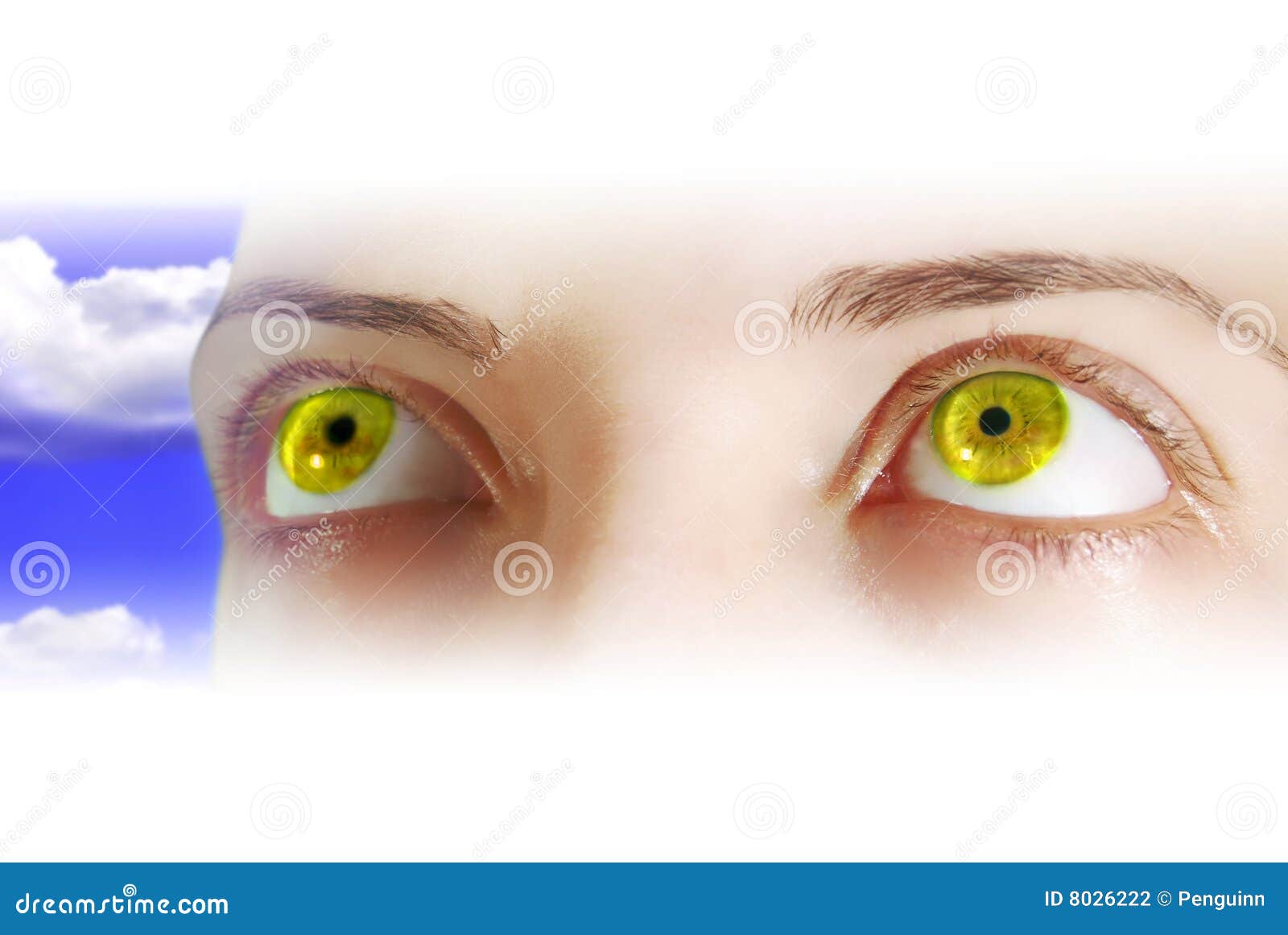 Gele ogen stock foto. Image of mystiek, wimpers, gezicht - 8026222