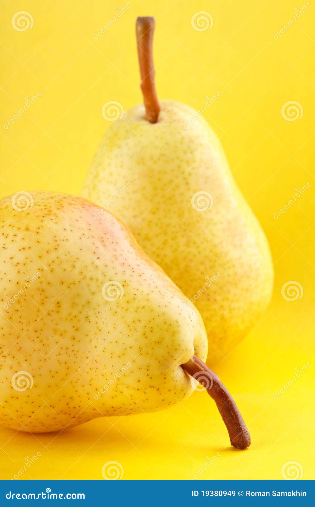 Gele peren stock afbeelding. Image of stam, installatie - 19380949
