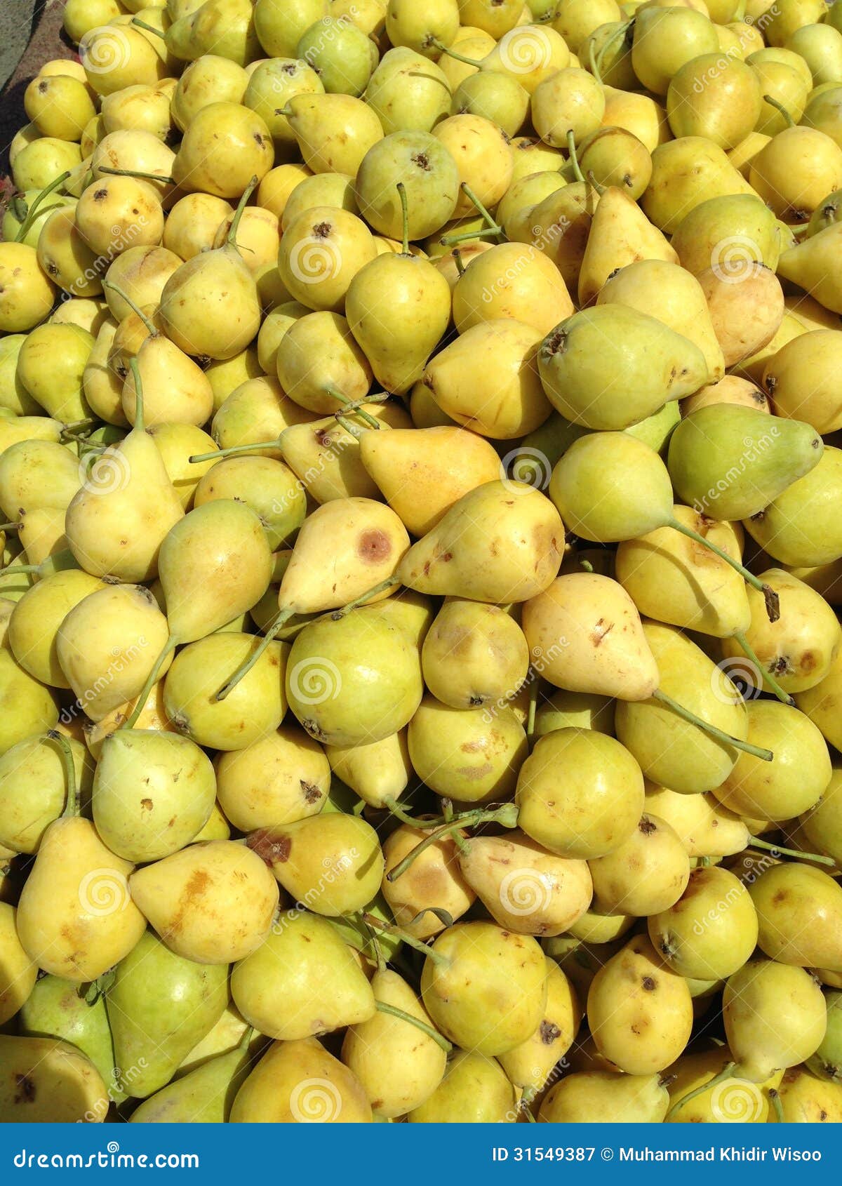 Gele peren stock afbeelding. Image of rijp, peer, kleur - 31549387