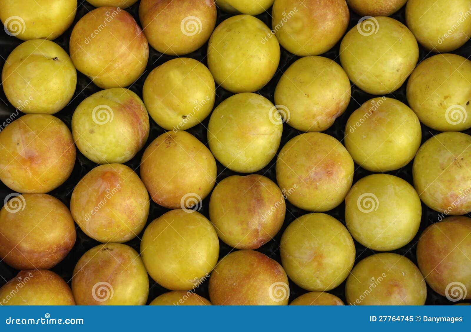 Gele pruim stock afbeelding. Image of vitamine, pruim - 27764745