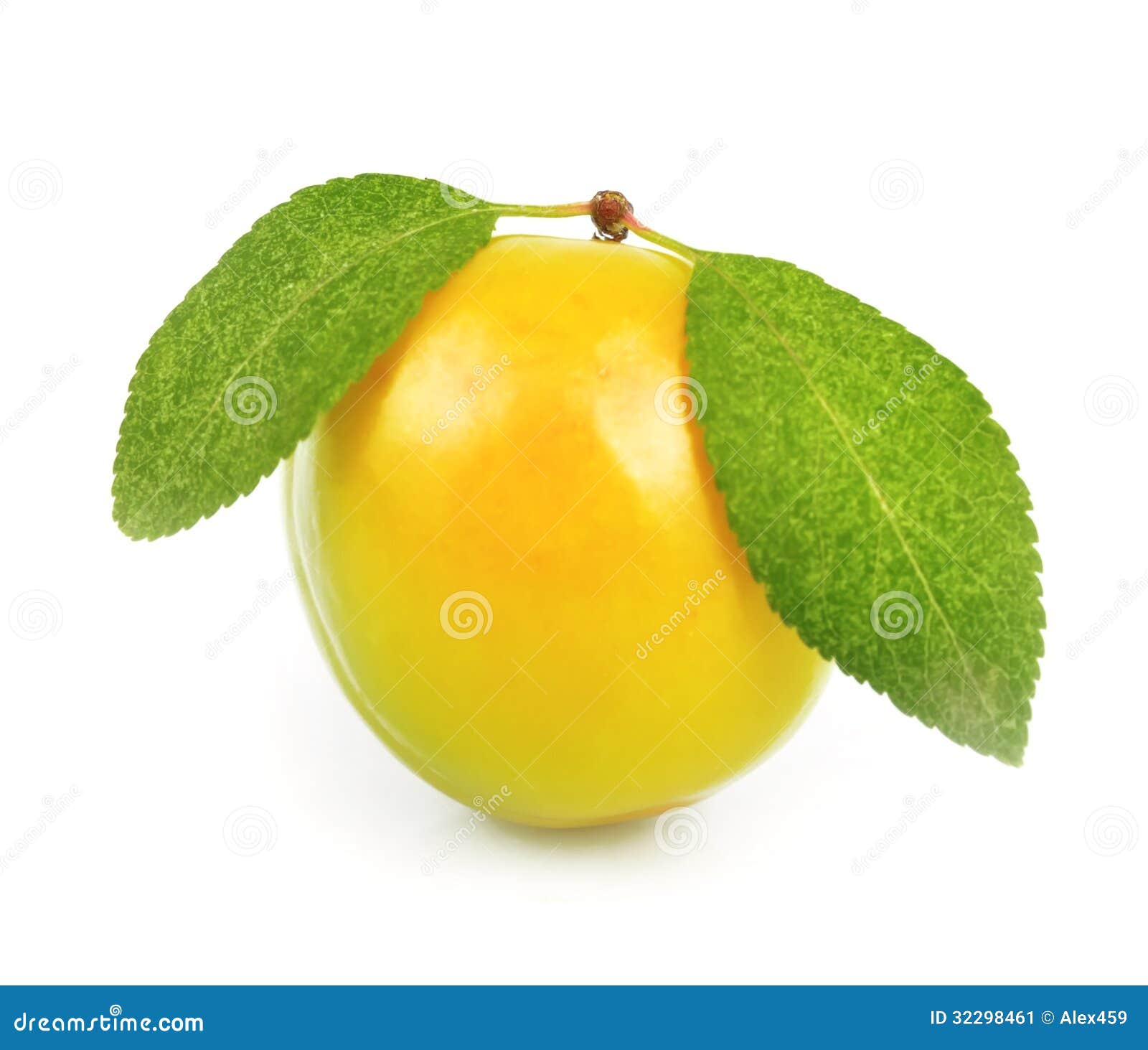 Gele pruim stock afbeelding. Image of zoet, rijp, voedsel - 32298461