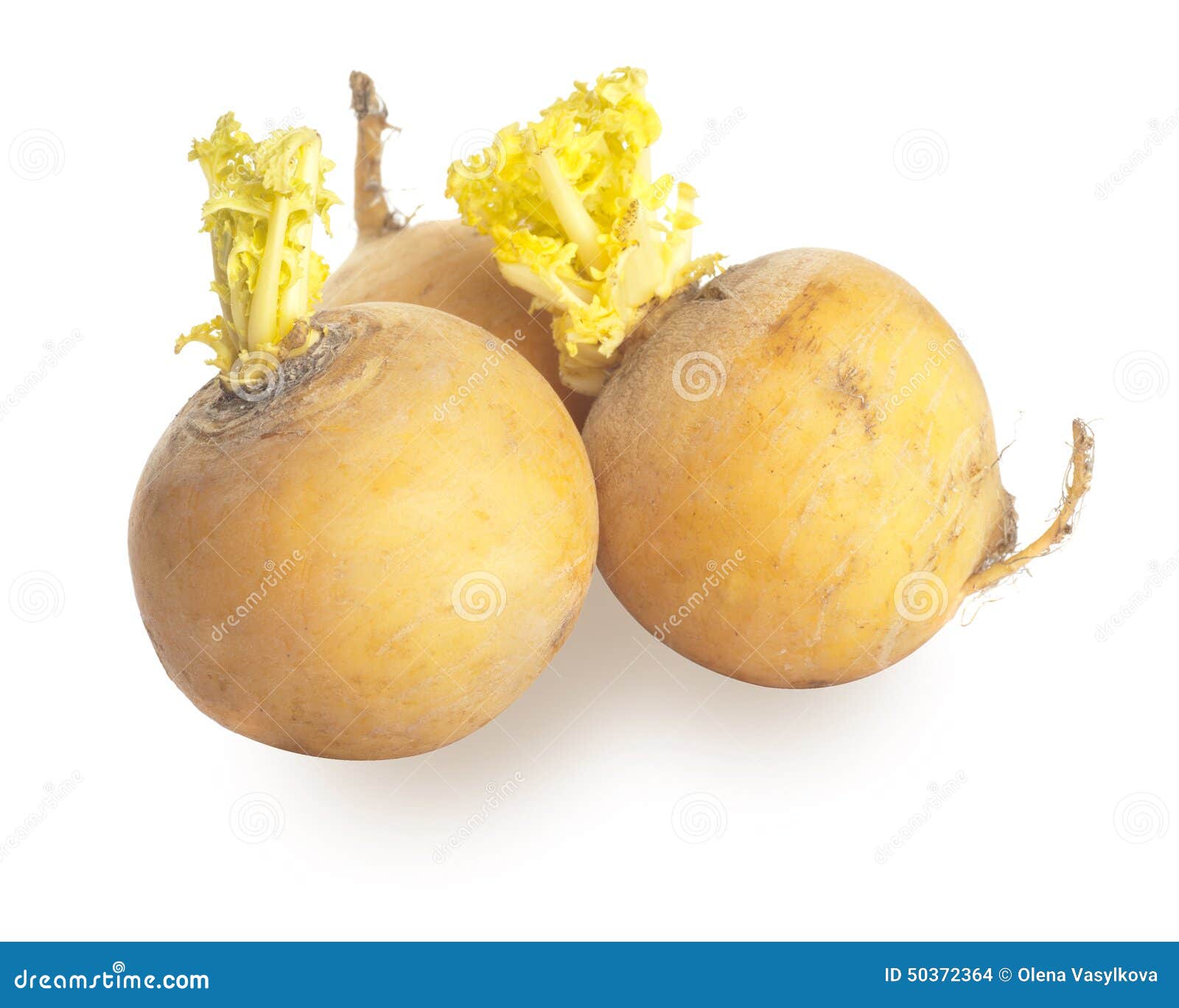 Gele rapen stock foto. Image of biet, oogst, rijp, drie - 50372364