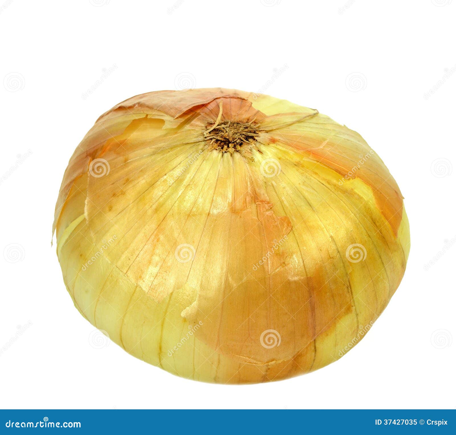 Gele ui stock afbeelding. Image of koken, lente, plantaardig - 37427035