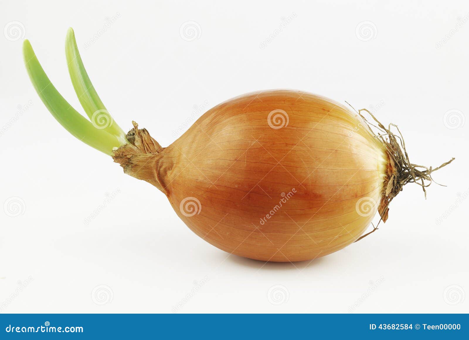 Gele Ui Met Groene Spruiten Stock Foto - Image of ontwerp, stijlvol ...