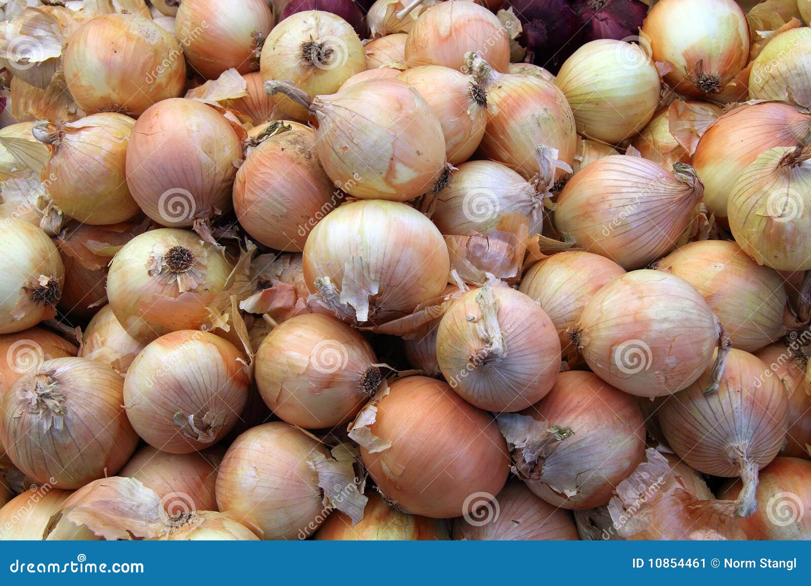 Gele Uien stock afbeelding. Image of oogst, voedsel, gezond - 10854461