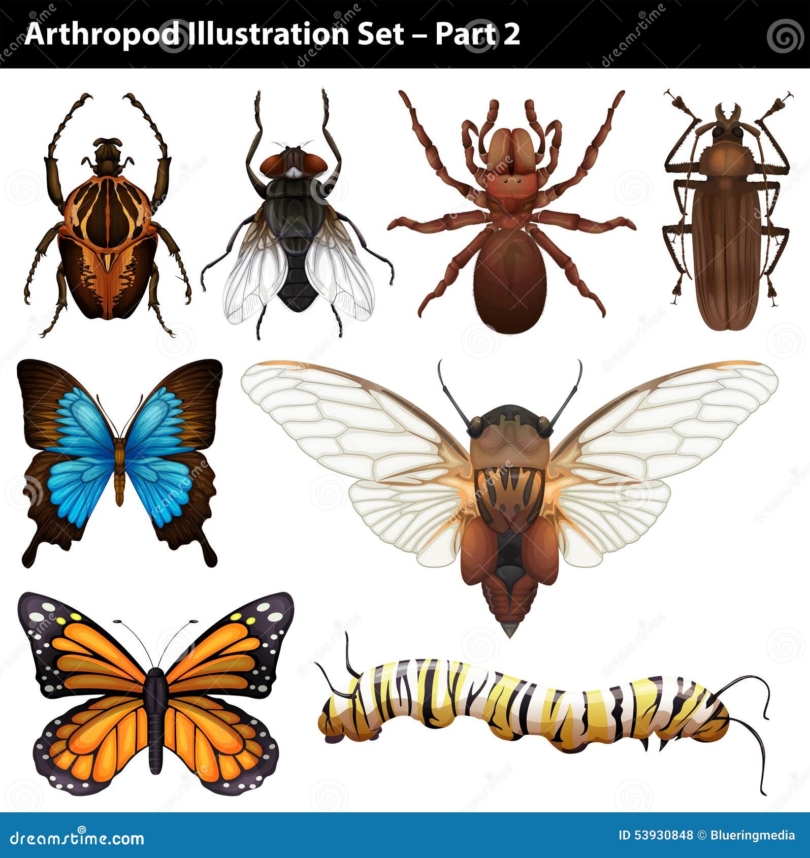 Geleedpotigen vector illustratie. Illustration of ontwerp - 53930848