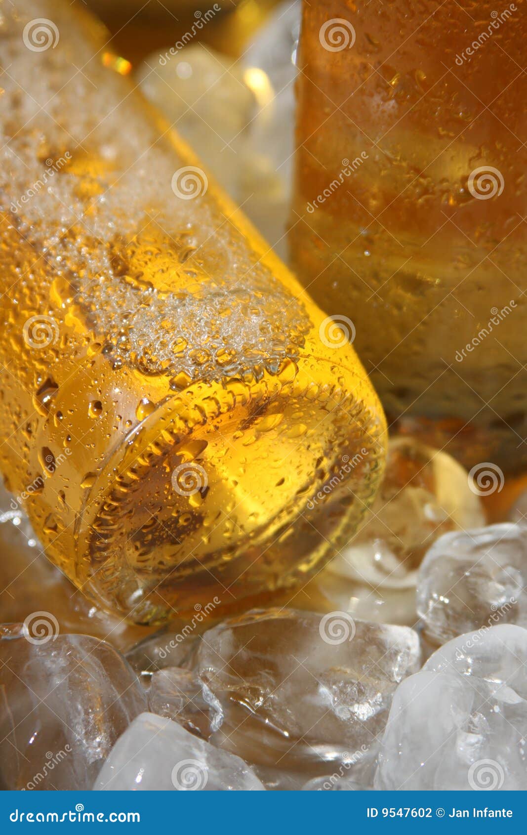 Gelo - cerveja fria foto de stock. Imagem de frasco, bebida - 9547602