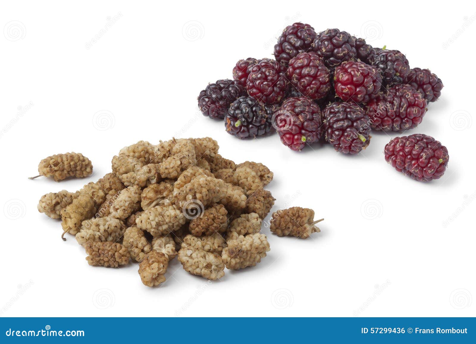 Gelsi secchi e freschi fotografia stock. Immagine di varietà - 57299436