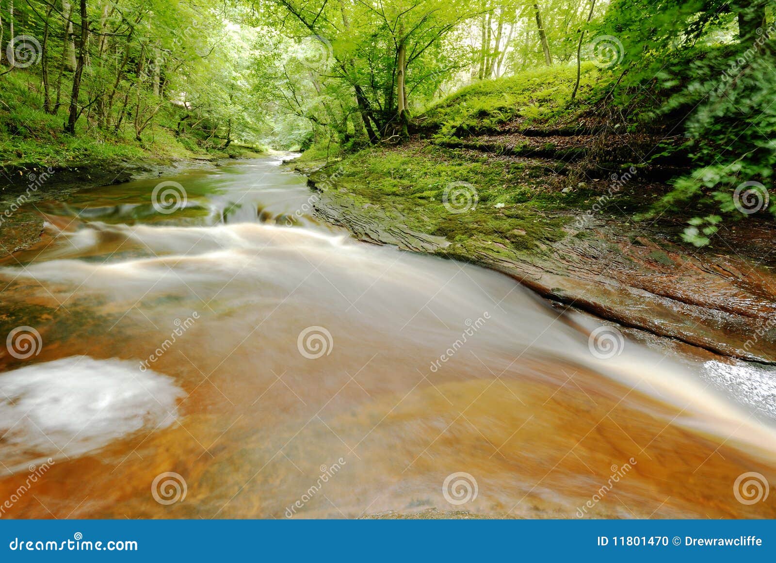 Gelt River stock photo. Image of gelt, rocks, trees, woods - 11801470