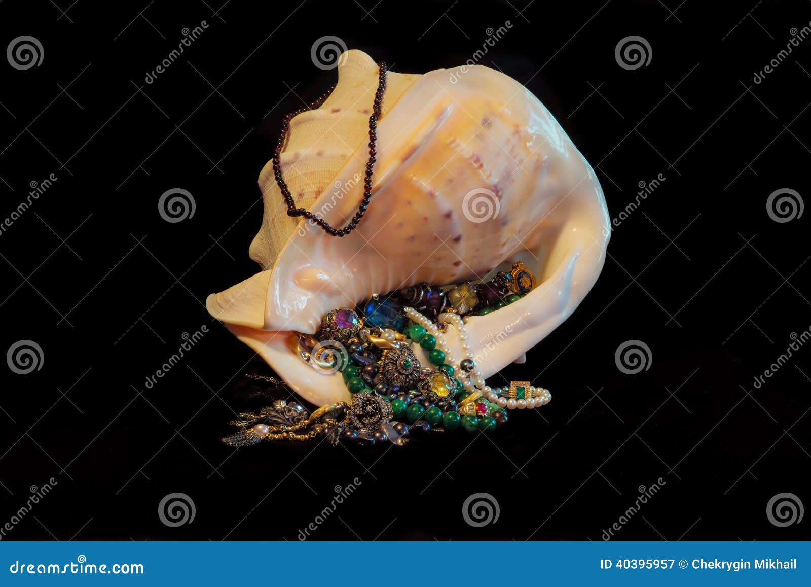 Gem shell stock image. Image of full, wealth, richness - 40395957