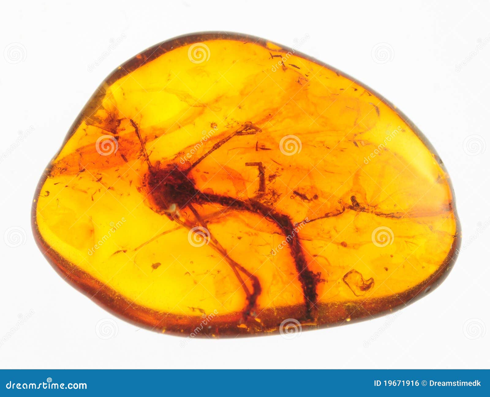 Gema foto de archivo. Imagen de rebanada, joyas, mosquitos - 19671916