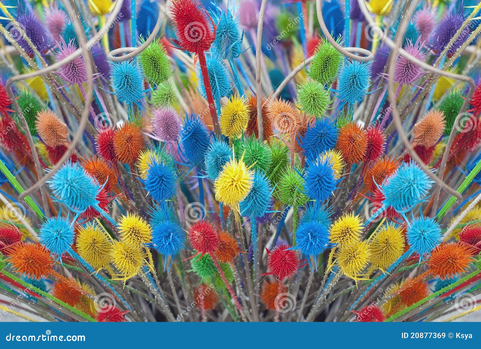 Gemalte Distel stockbild. Bild von trocken, beneidenswert - 20877369