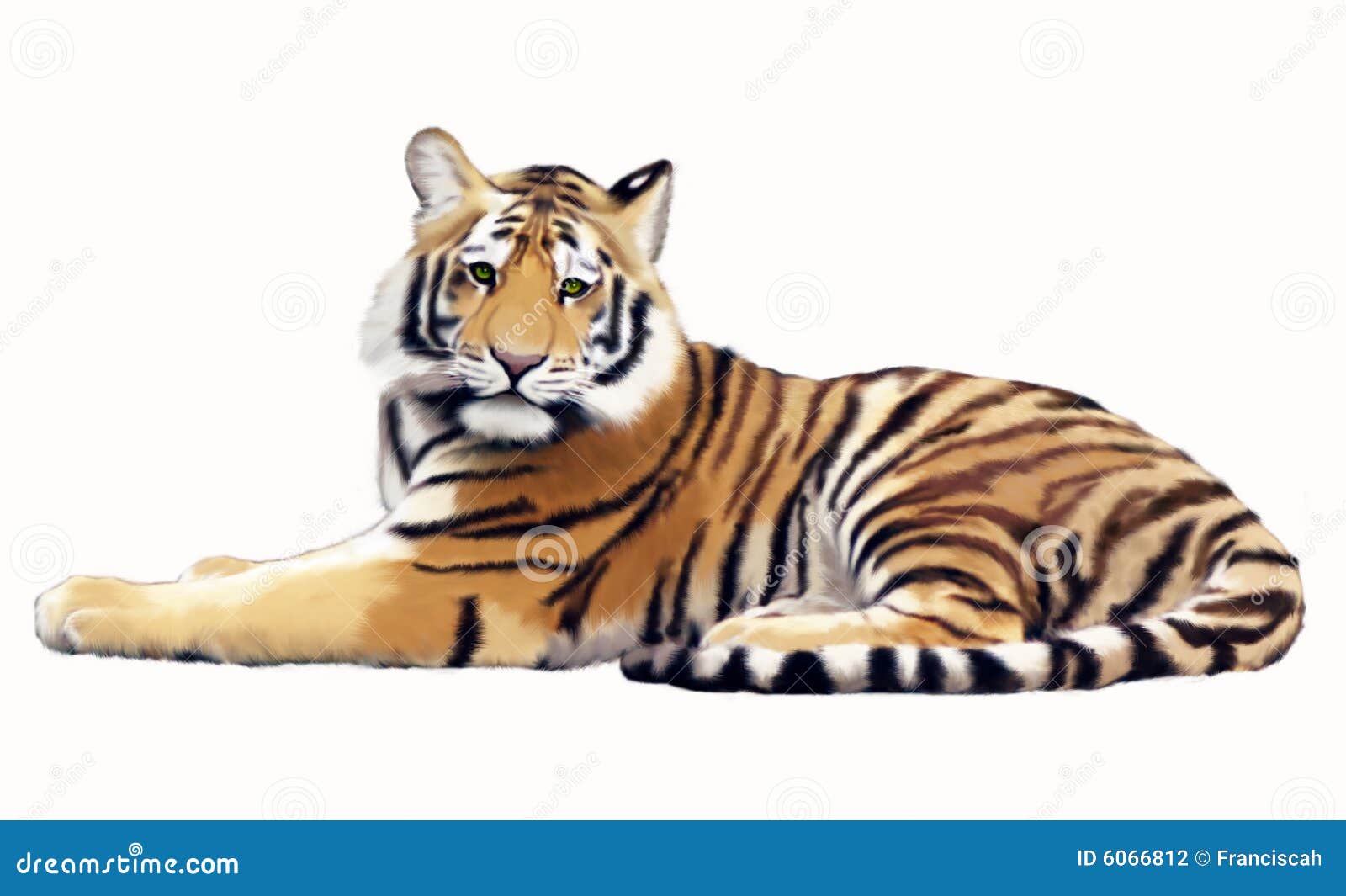 Gemalter Tiger stockfoto. Bild von wild, zeichnen, zeichnung - 6066812