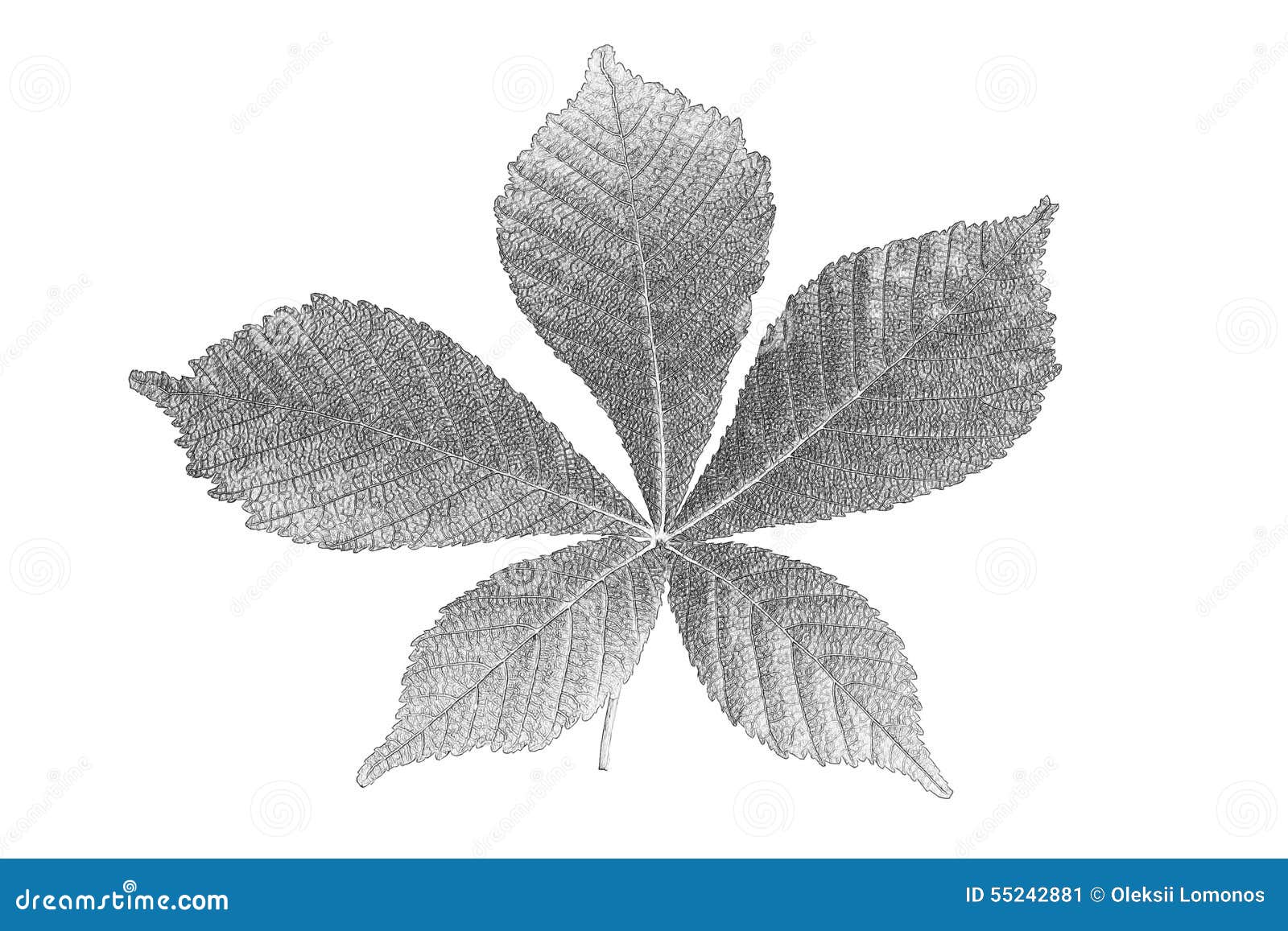 Gemaltes Schwarzes Bleistift Rotblatt Stock Abbildung - Illustration ...