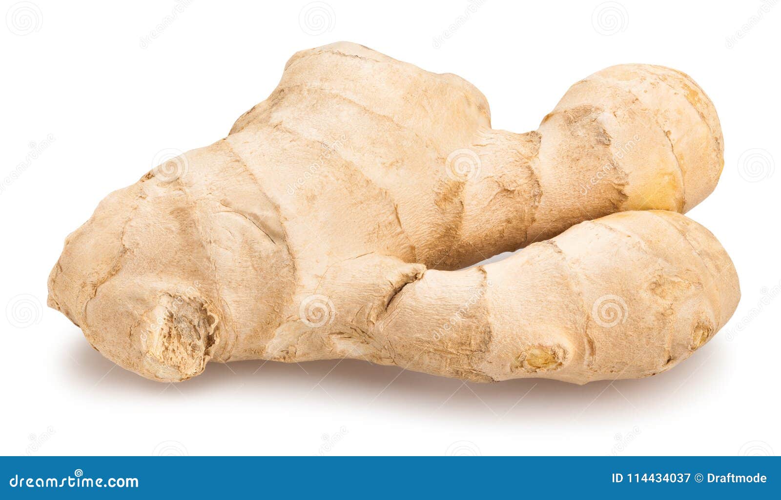 Gember stock afbeelding. Image of kruid, helder, specerij - 114434037