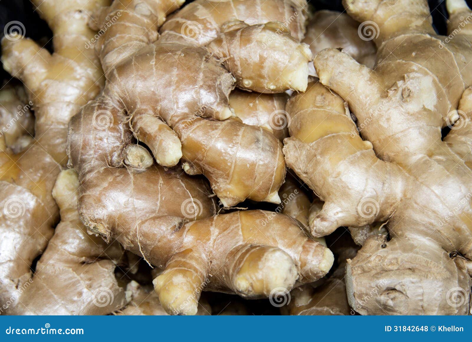 Gemberwortel stock foto. Image of aziatisch, knobbel - 31842648