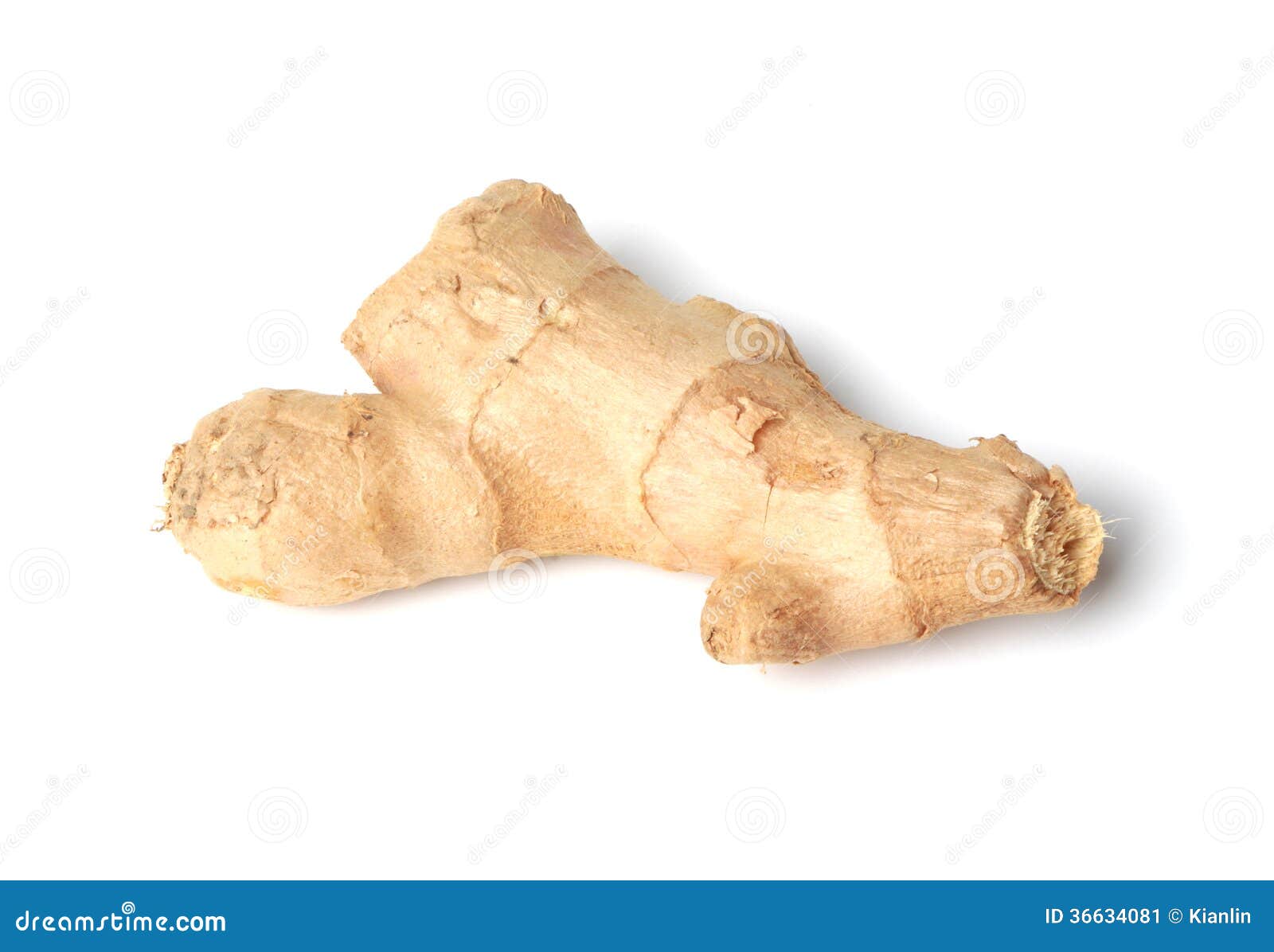 Gemberwortel stock afbeelding. Image of drank, exotisch - 36634081