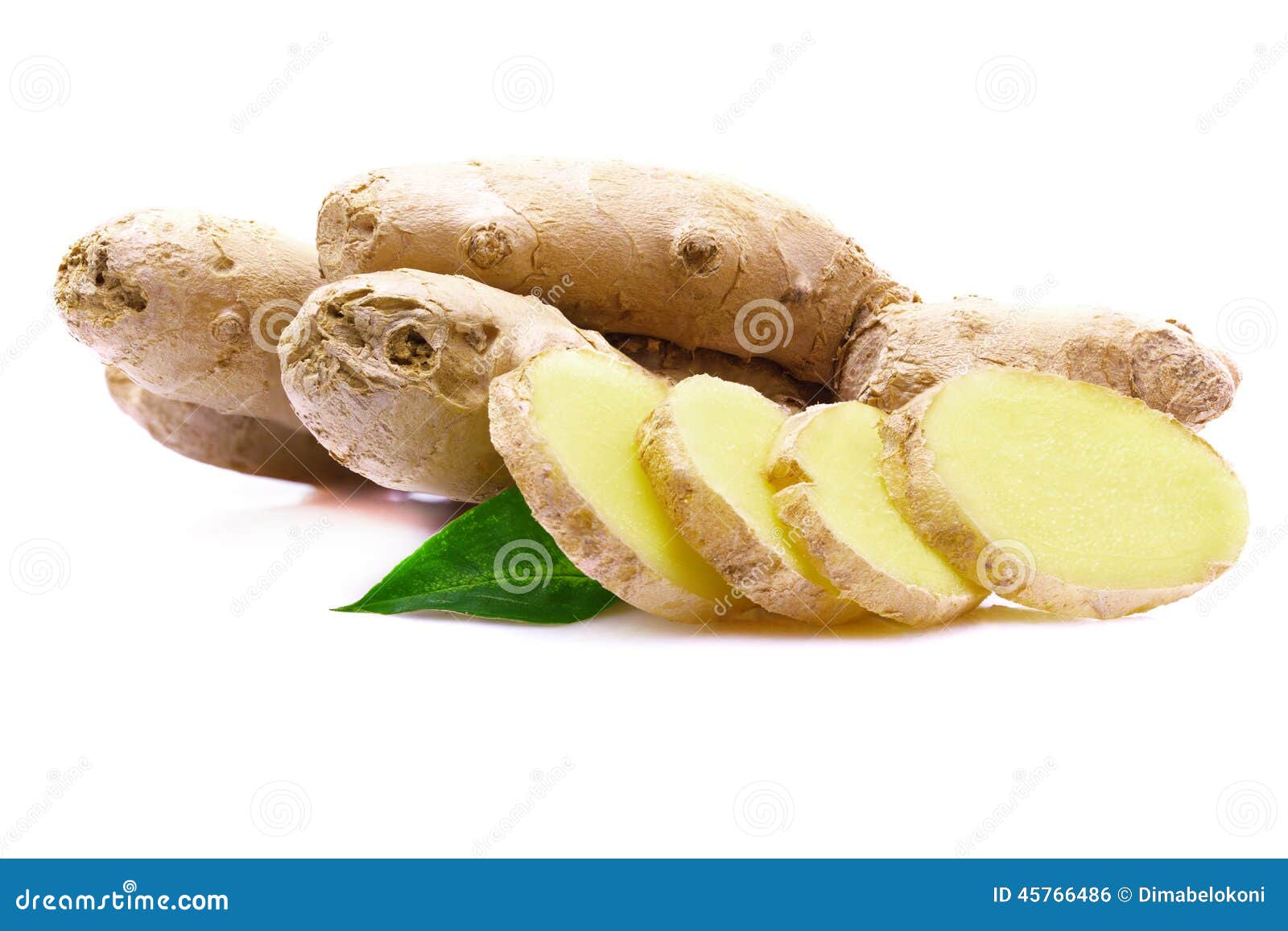 Gemberwortel met blad stock foto. Image of groenten, groen - 45766486