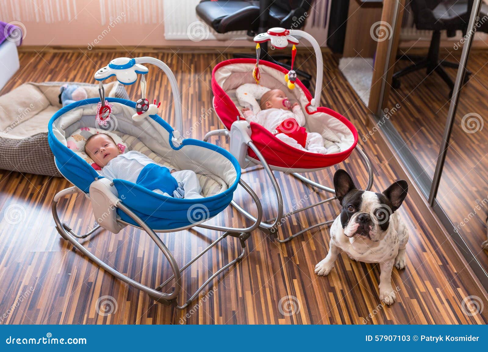Gemelos De Observación Del Perro En Cunas Imagen de archivo - Imagen de ...