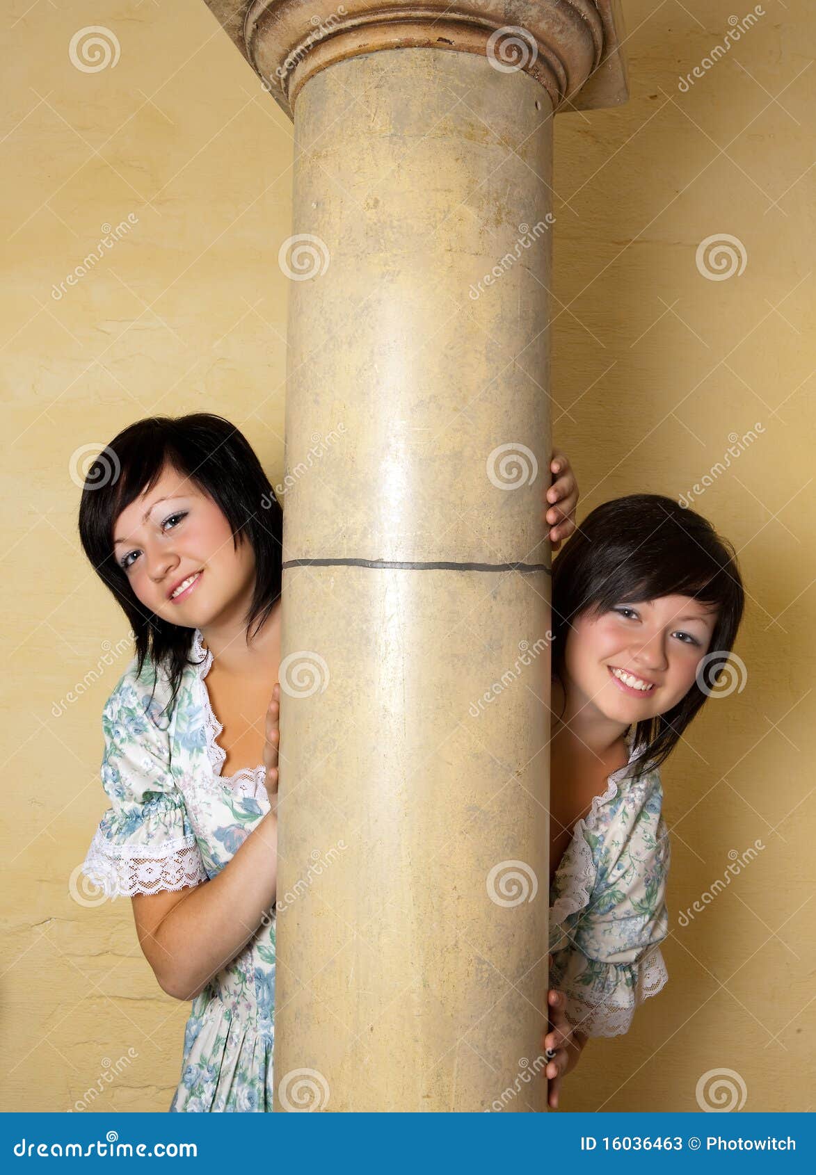 Gemini girls stock image. Image of symbols, beautiful - 16036463