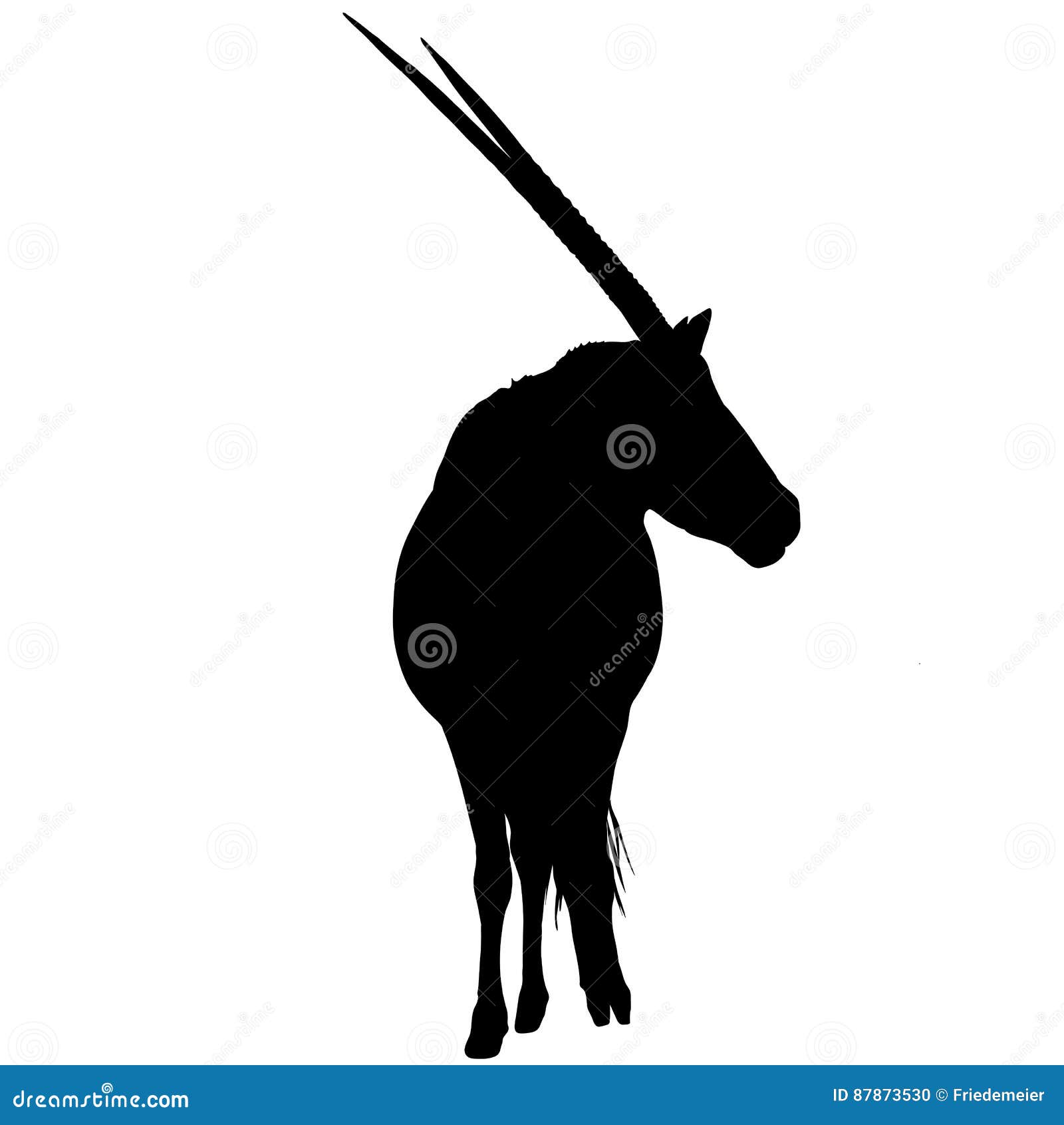 Gemsbok - Silhouette stock vector. Illustration of namibia - 87873530