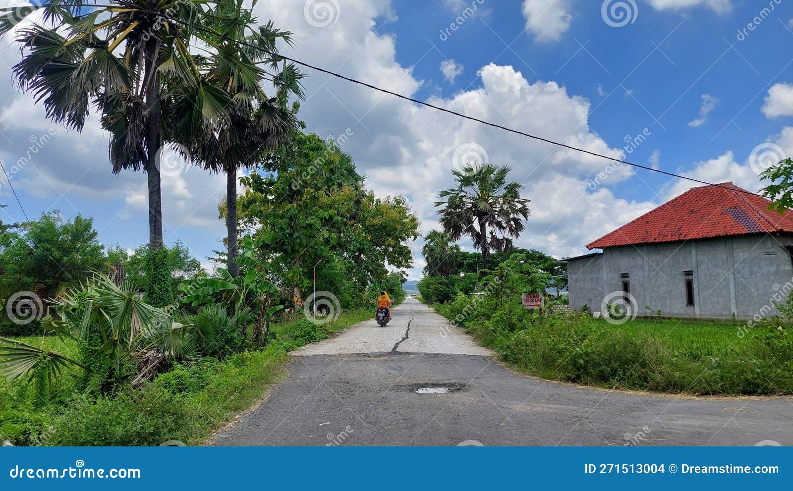 Siwalan Siwalan Stock Photos - Free & Royalty-Free Stock Photos from ...
