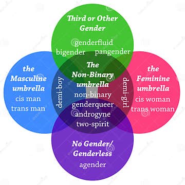 Gender classification stock photo. Image of genderfuild - 168391280