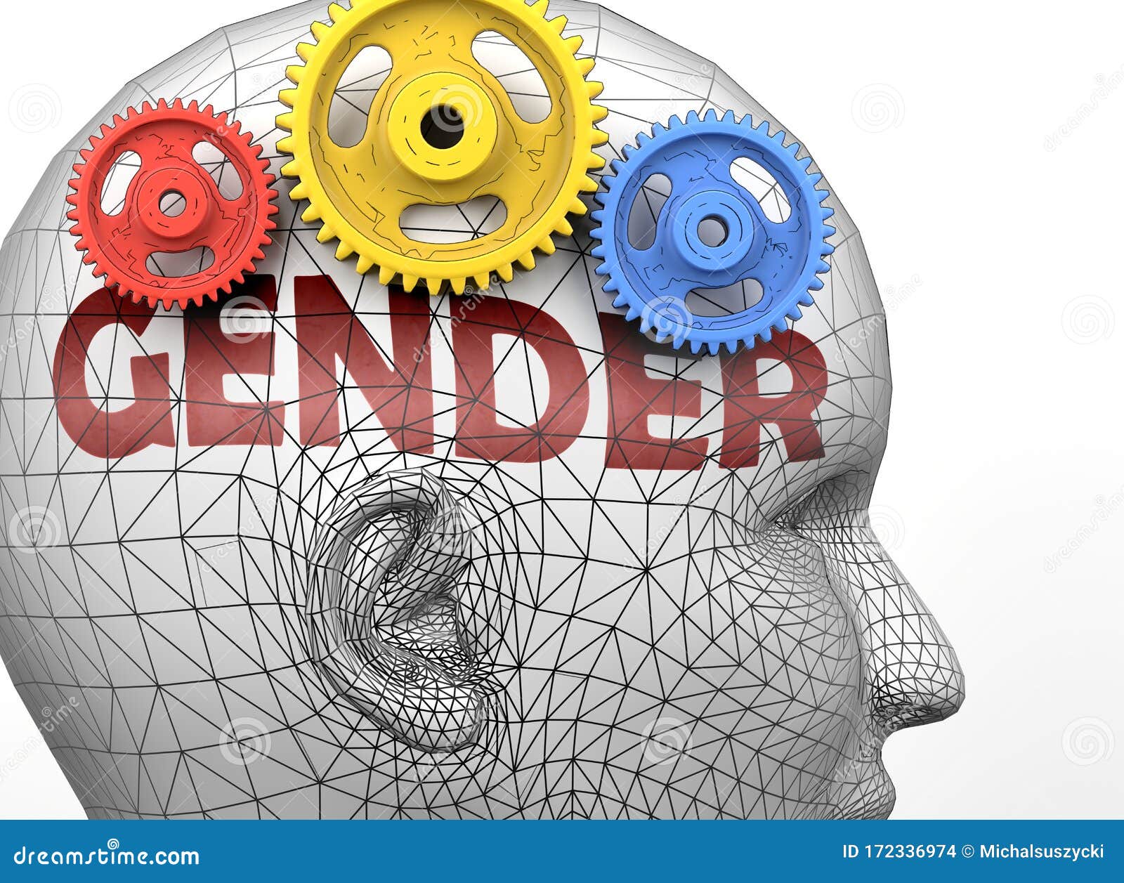 Gender and Human Mind - Pictured As Word Gender Inside a Head To ...