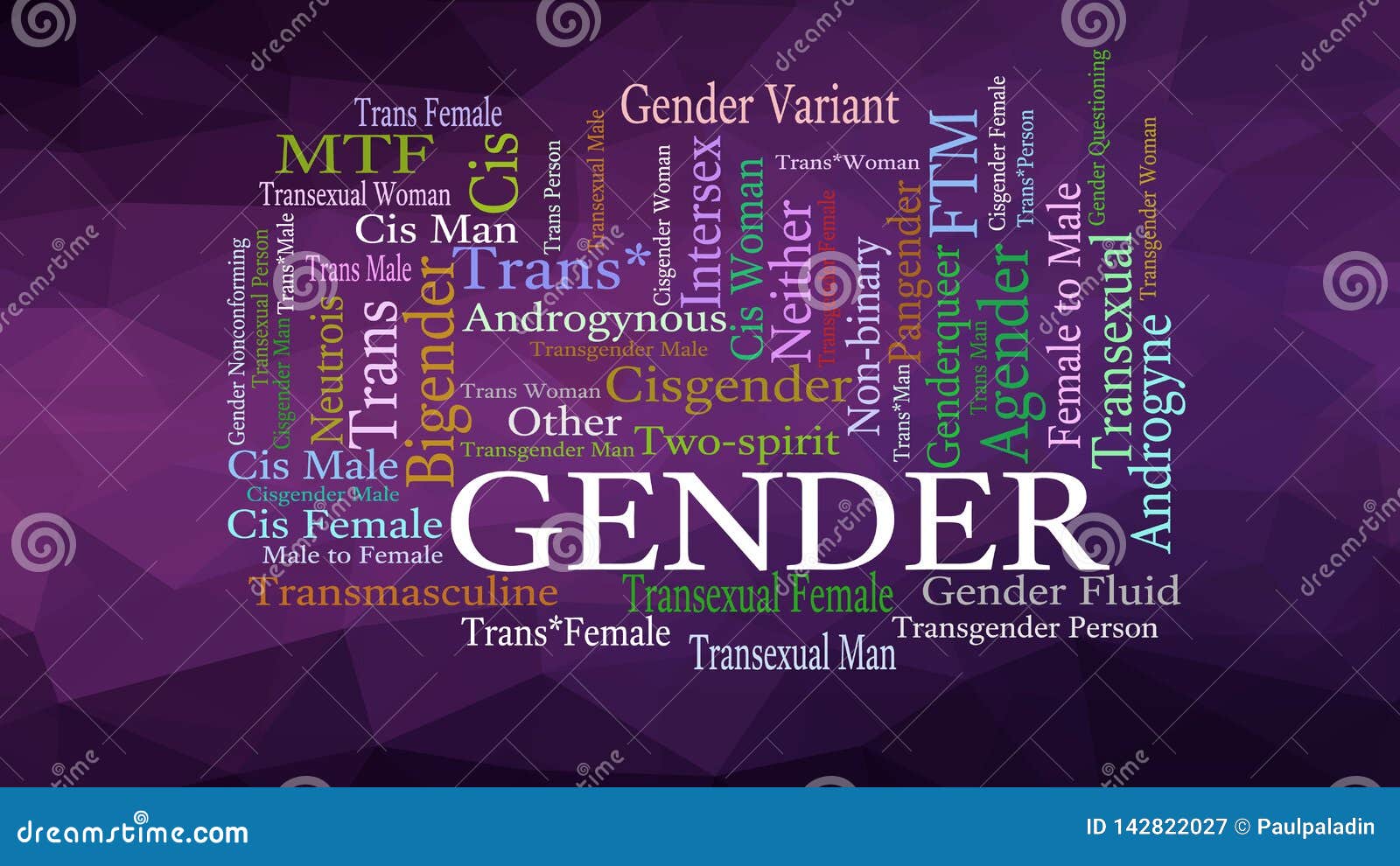 Gender Identity Word Cloud Stock Vector Illustration Of Gender 142822027