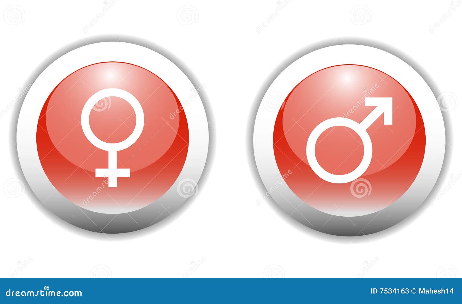 Gender Sign Icons stock vector. Illustration of shadow - 7534163