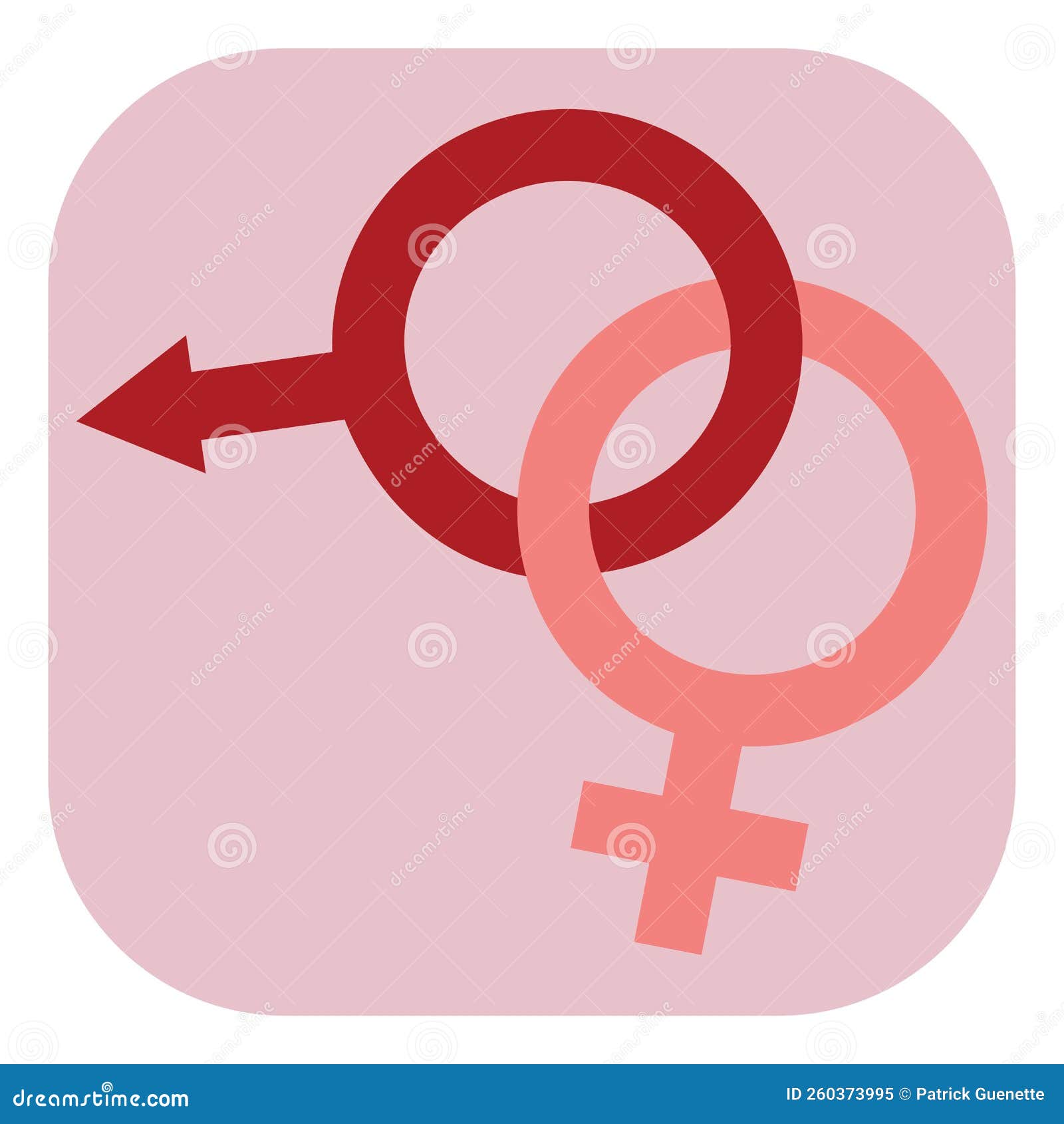 Gender symbols, icon stock vector. Illustration of element - 260373995