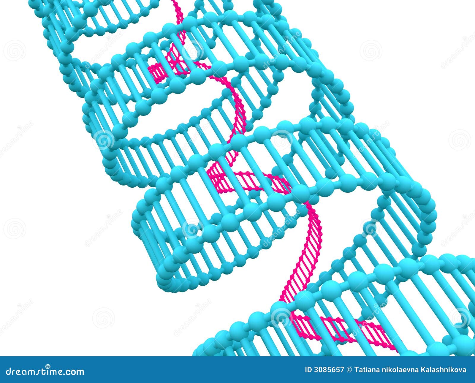 Gene in DNA. stock illustration. Illustration of cell - 3085657