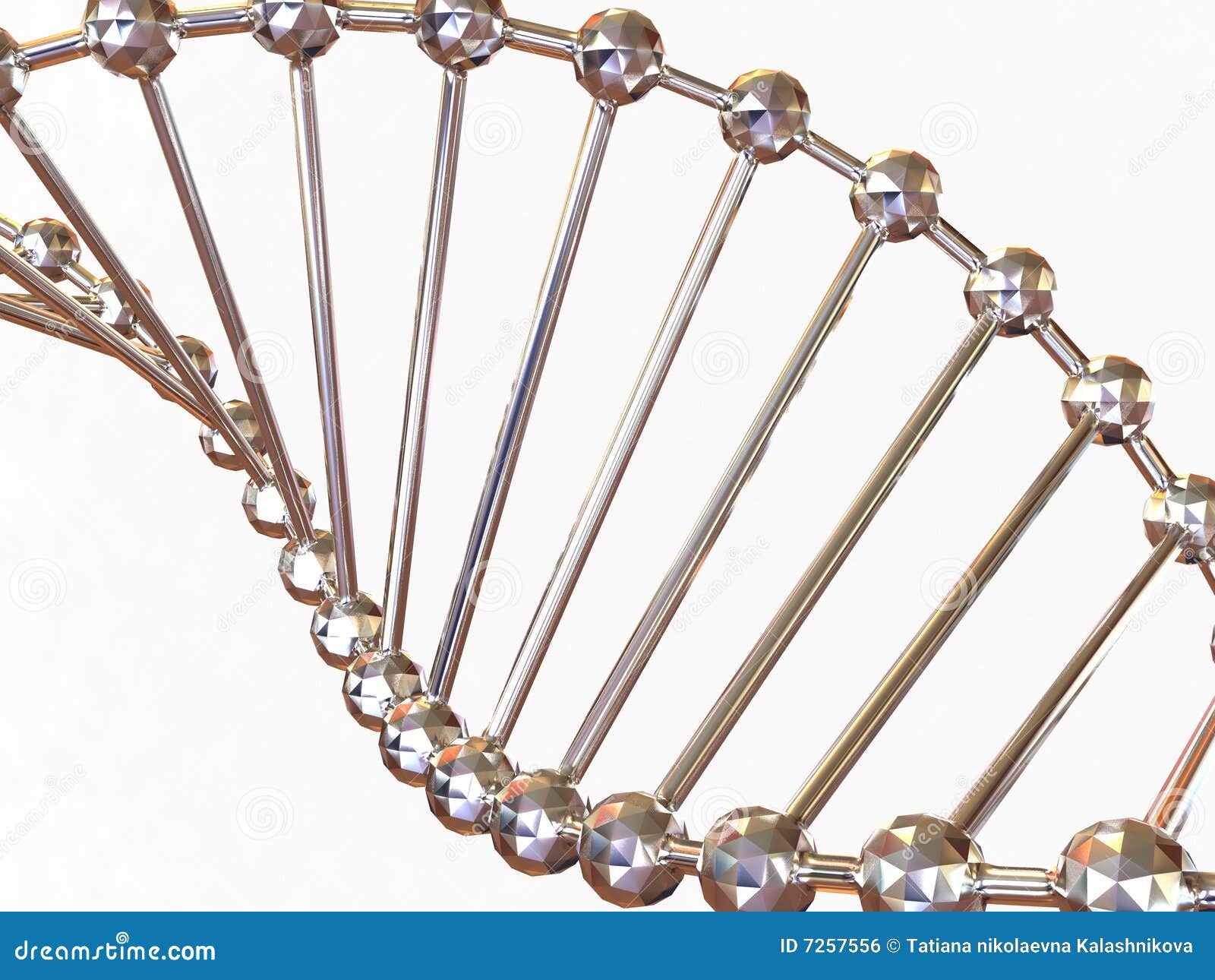 Gene in DNA stock photo. Image of genetics, evolution - 7257556