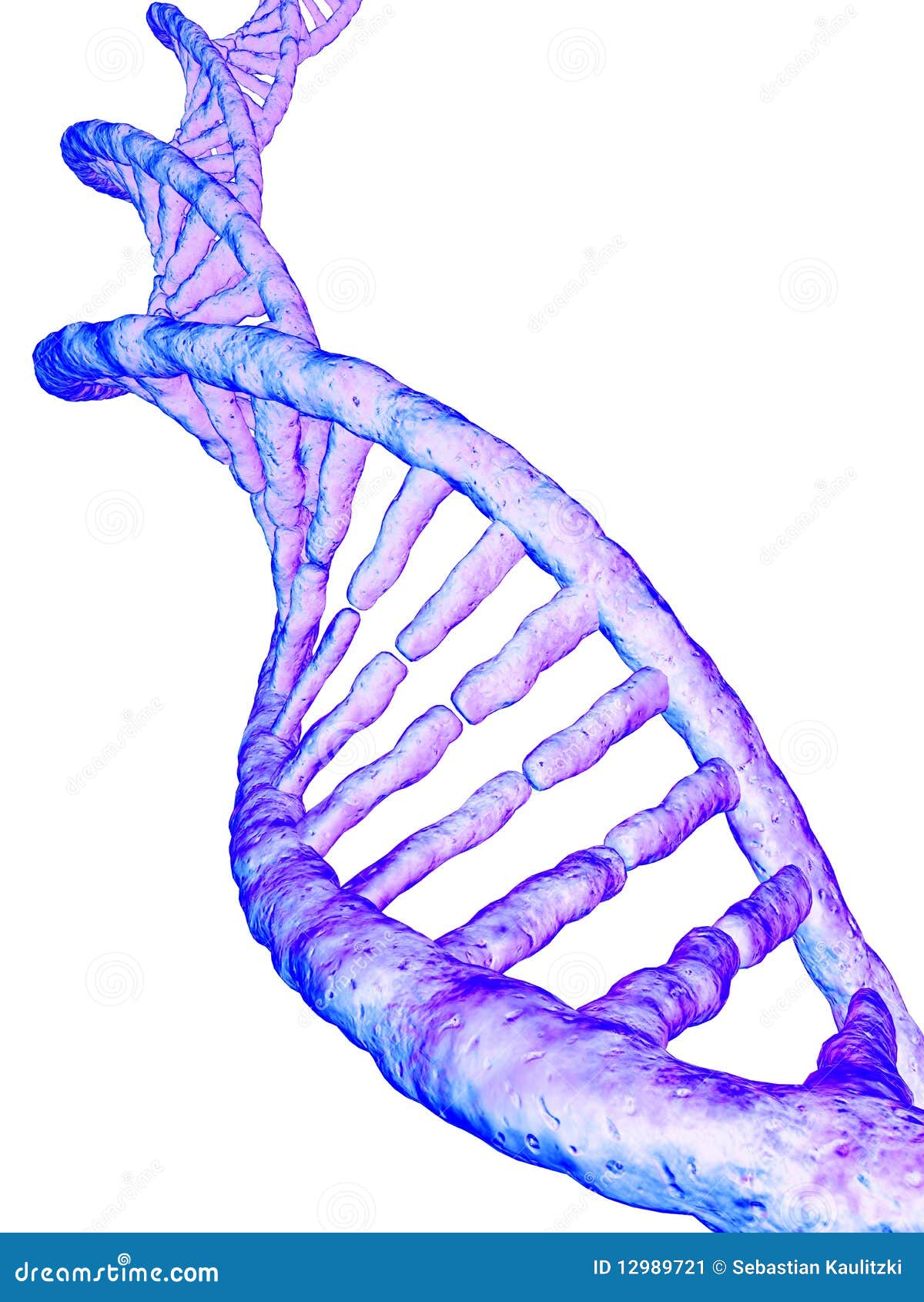 Gene model stock illustration. Illustration of hereditary - 12989721