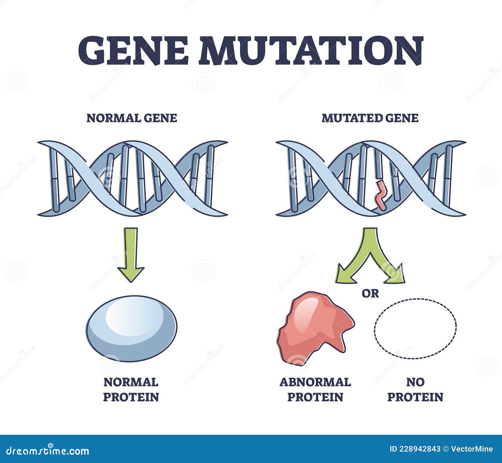 Gene Mutation Models Comparison with Abnormal Helix Protein Outline ... Gene Mutation Models Comparison with Abnormal Helix Protein Outline ...