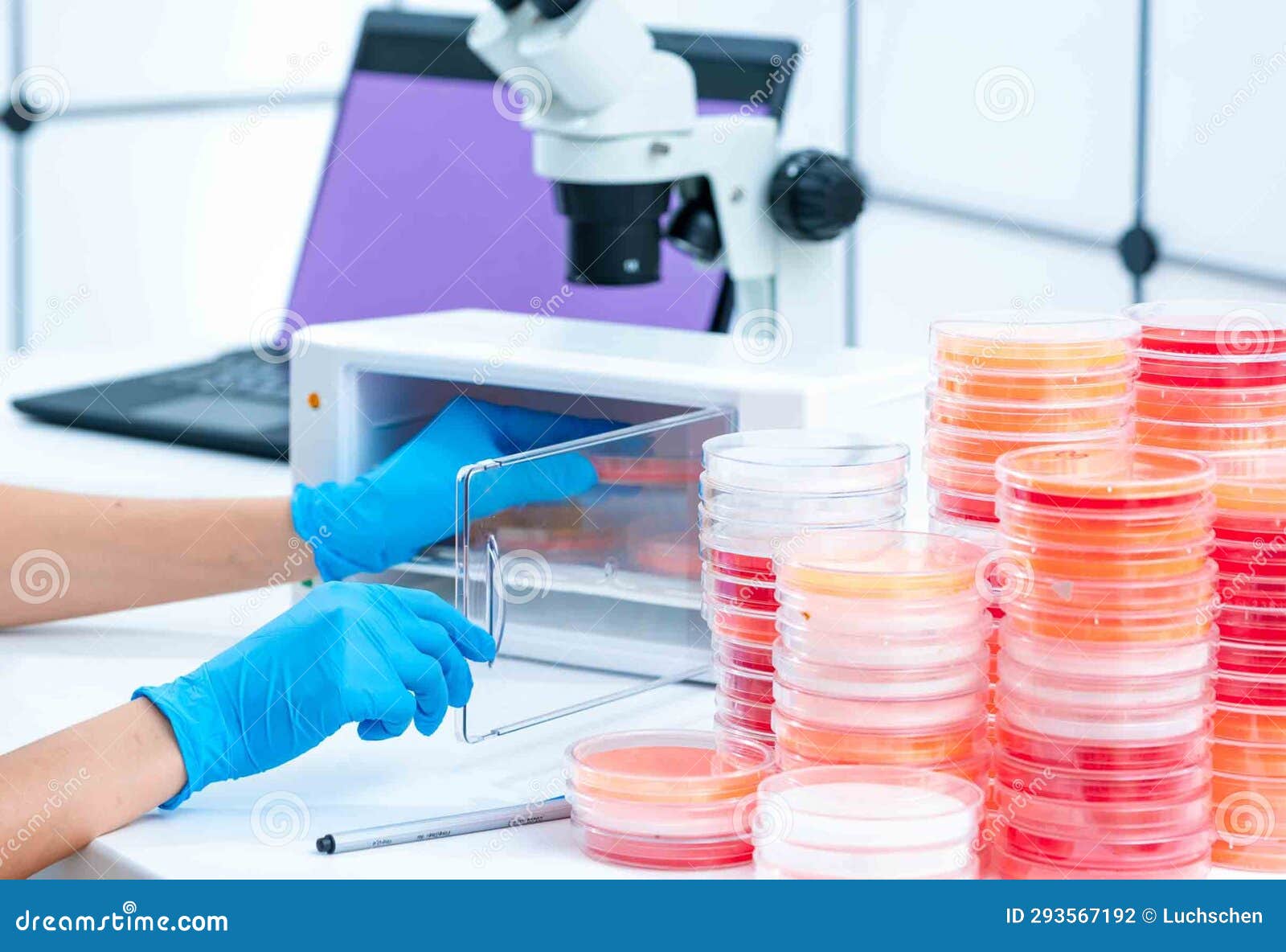 Gene Therapy Research: Petri Dishes are Employed in Gene Therapy ...