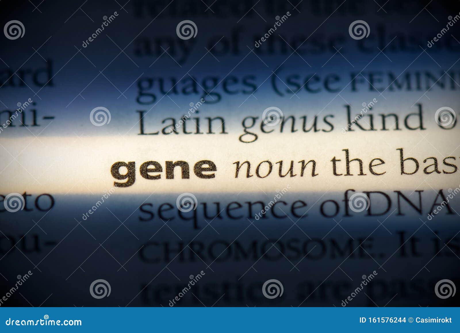 Gene stock photo. Image of language, paper, etymology - 161576244