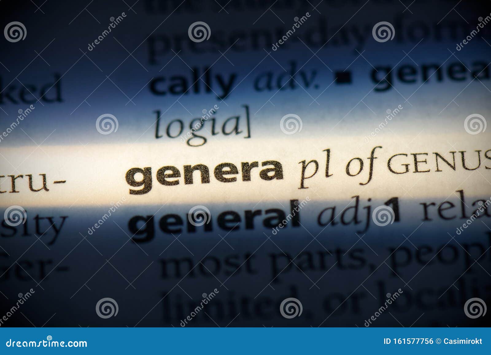 Genera stock photo. Image of focus, etymology, language - 161577756