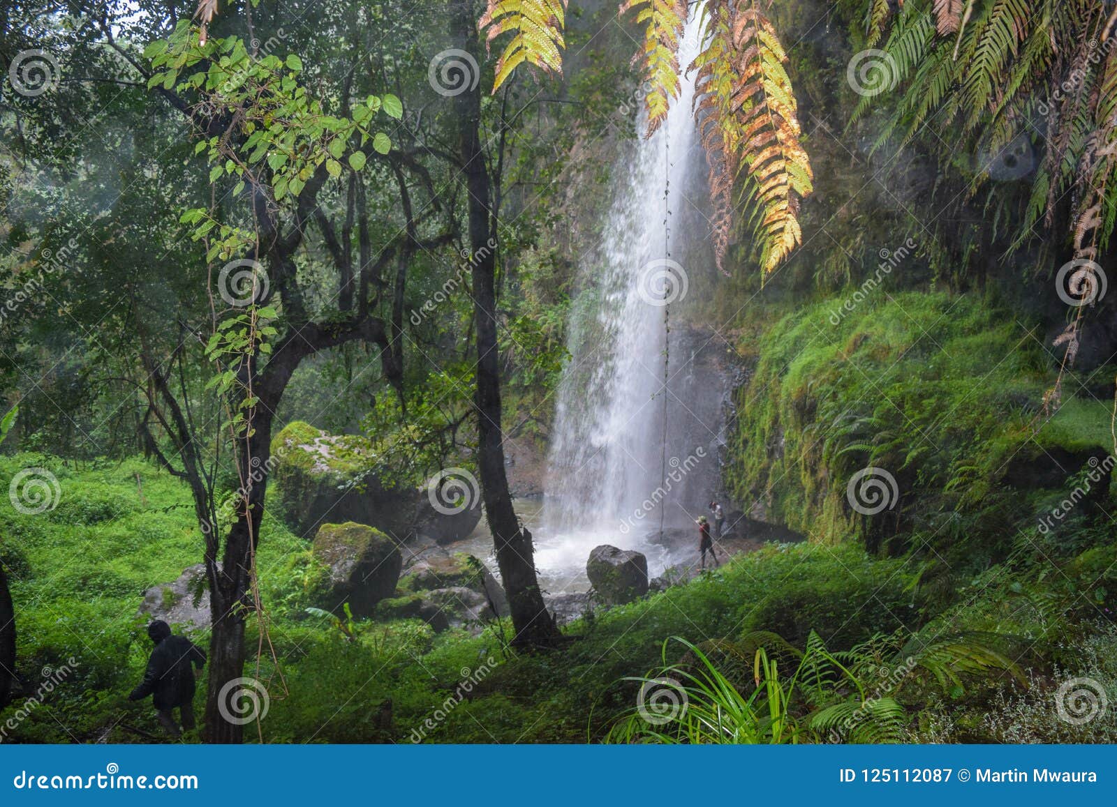 General China Waterfall, Aberdare Ranges, Kenya Editorial Photography ...
