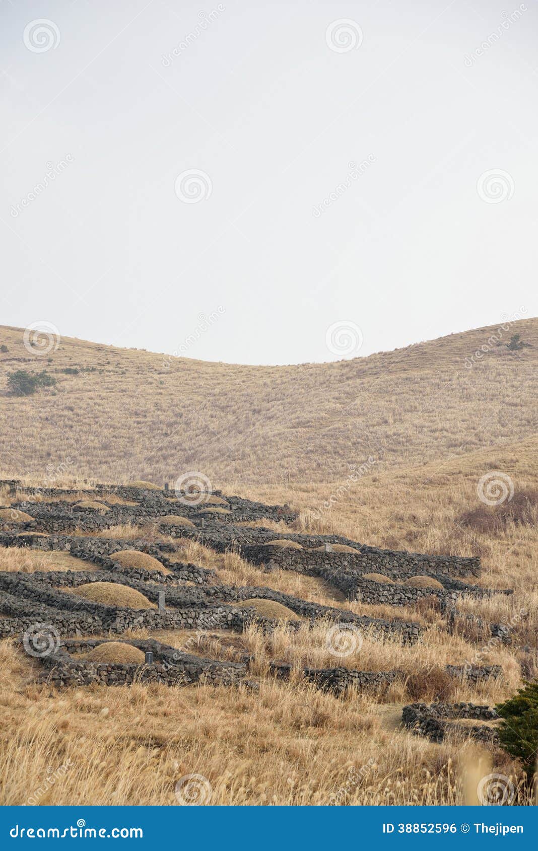 General Grave Made by Basalt in Jeju Stock Photo - Image of meadow ...