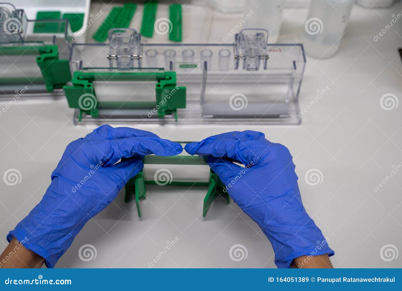 The General Process Preparation for Protein Levels Detection is Using ...