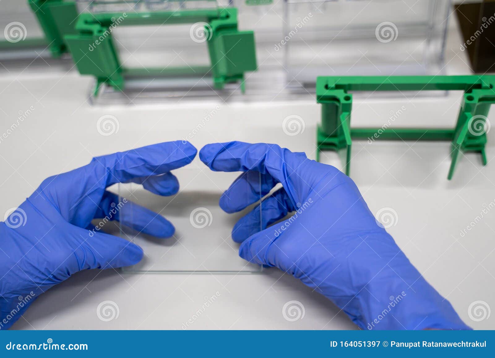 The General Process Preparation For Protein Levels Detection Is Using ...