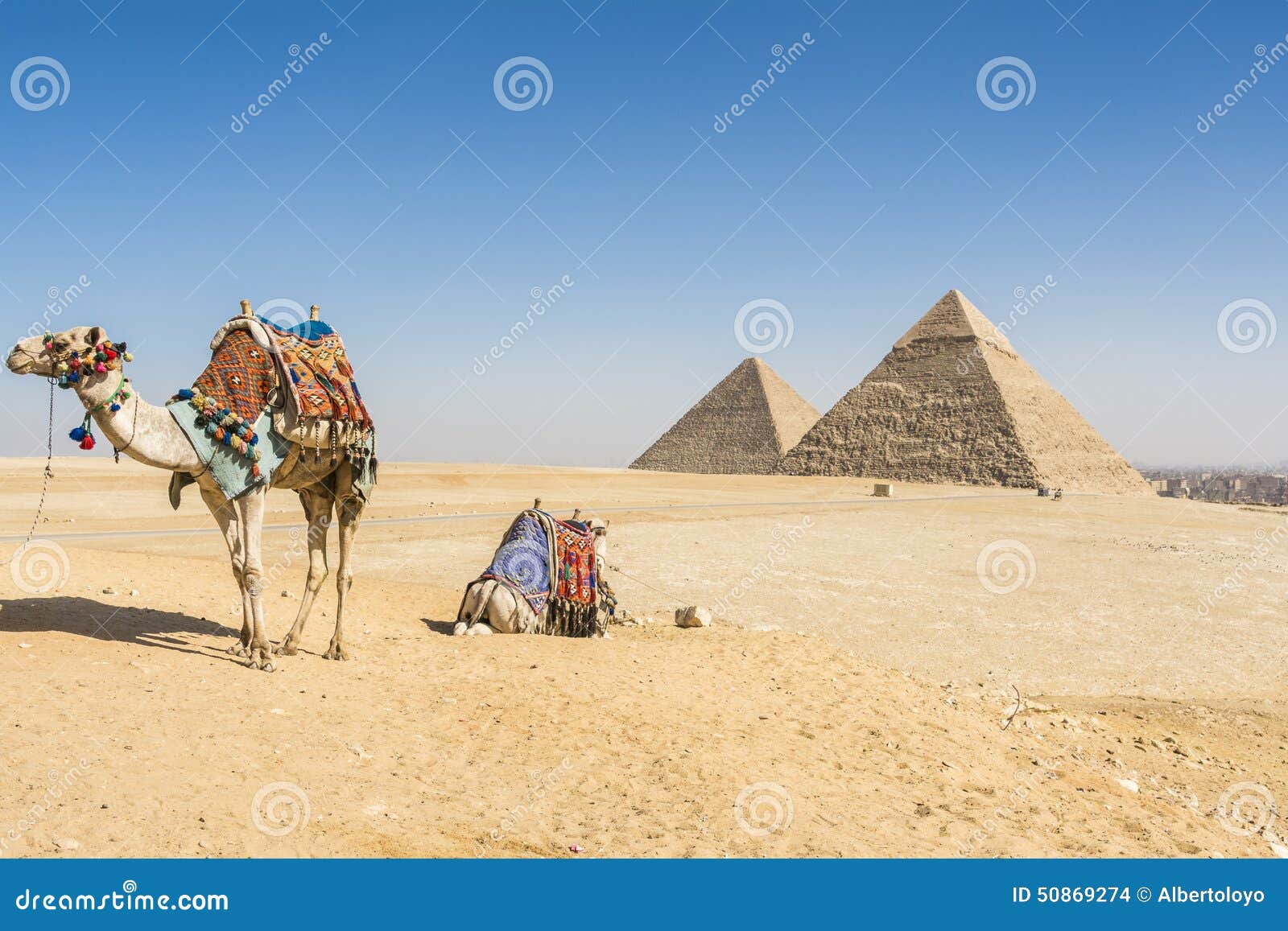 General View of Pyramids of Giza, Egypt Stock Photo - Image of egyptian ...