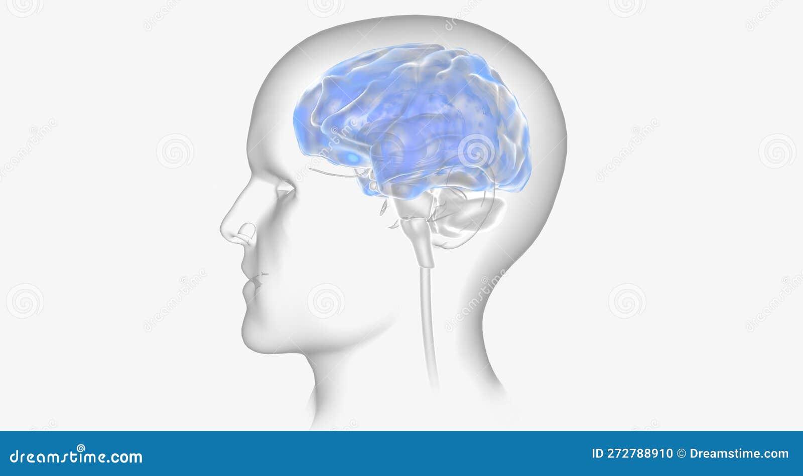Generalized Seizure Caused by Abnormal Electric Activity in Brain Stock ...