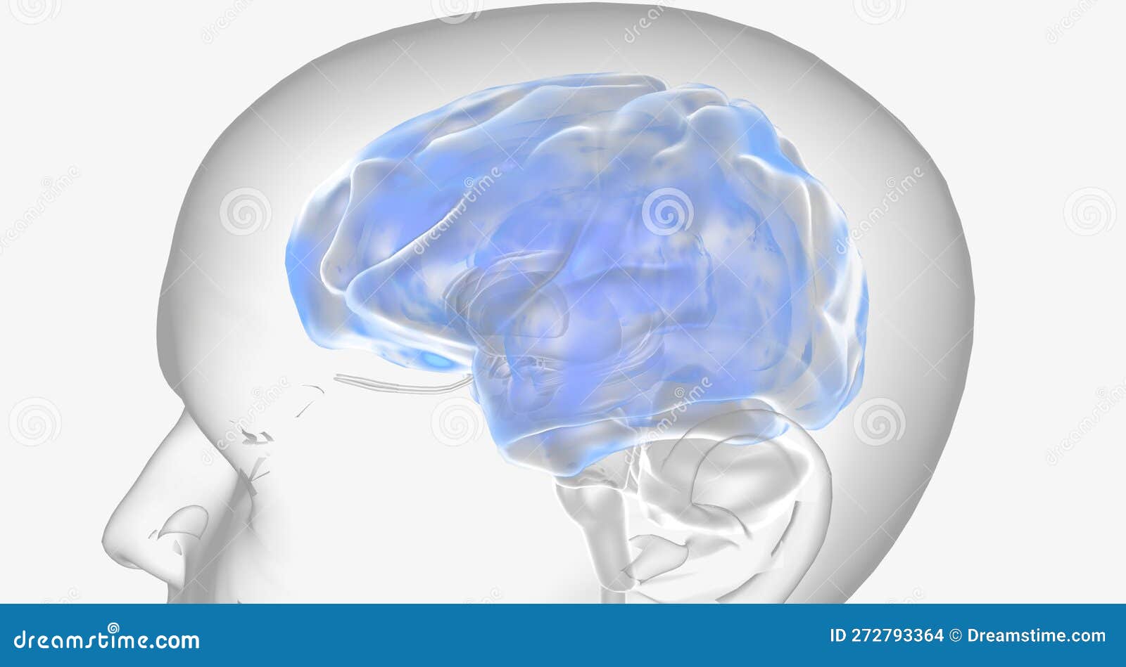 Generalized Seizure Caused by Abnormal Electric Activity in Brain Stock ...