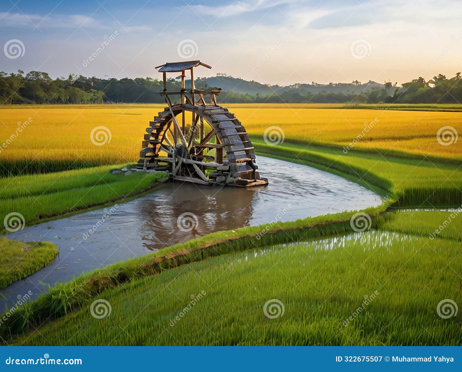 A Water Wheel on a Rice Field Stock Illustration - Illustration of ...